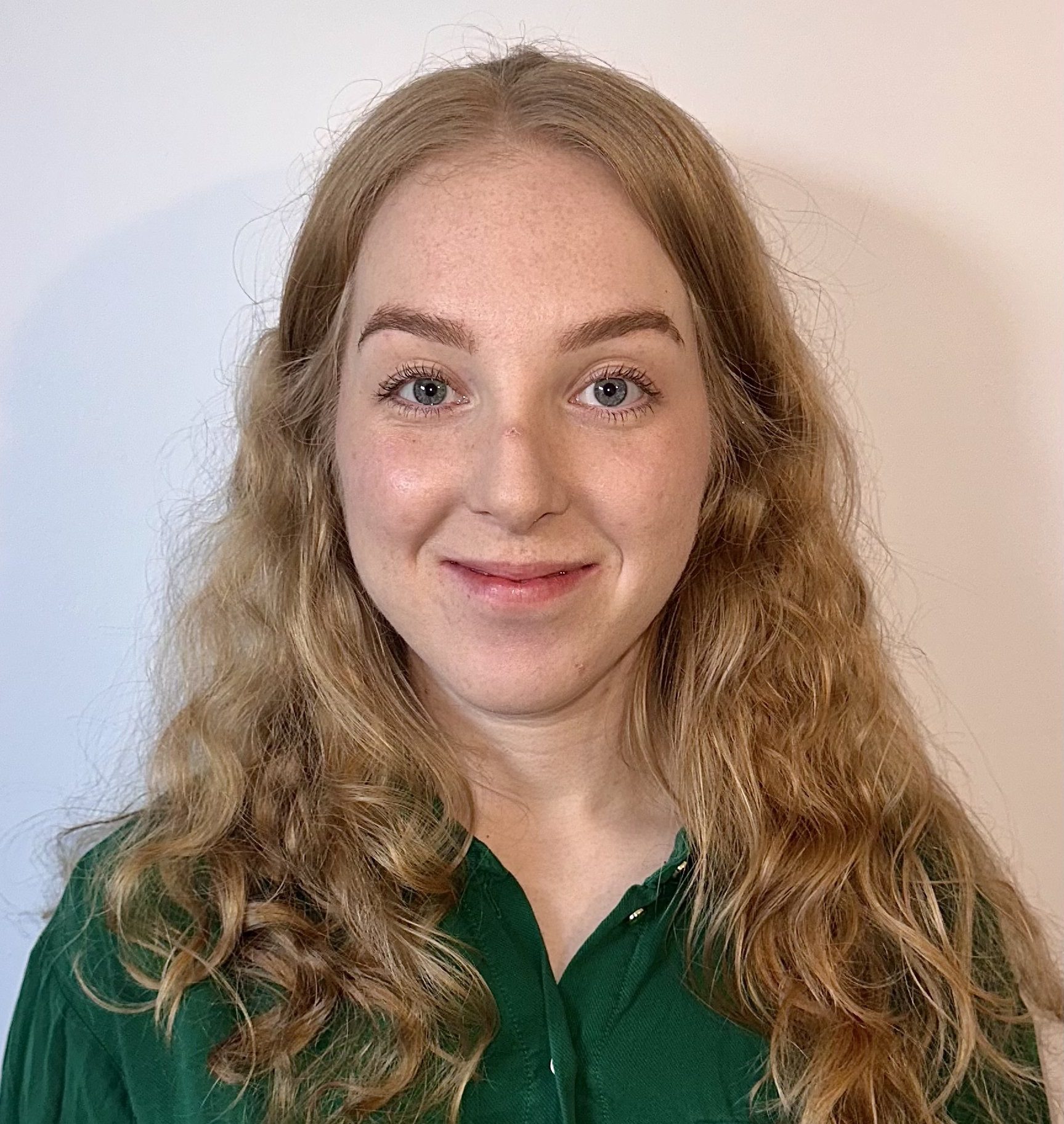 A day in the life of a Heritage Consultant: - AB Heritage